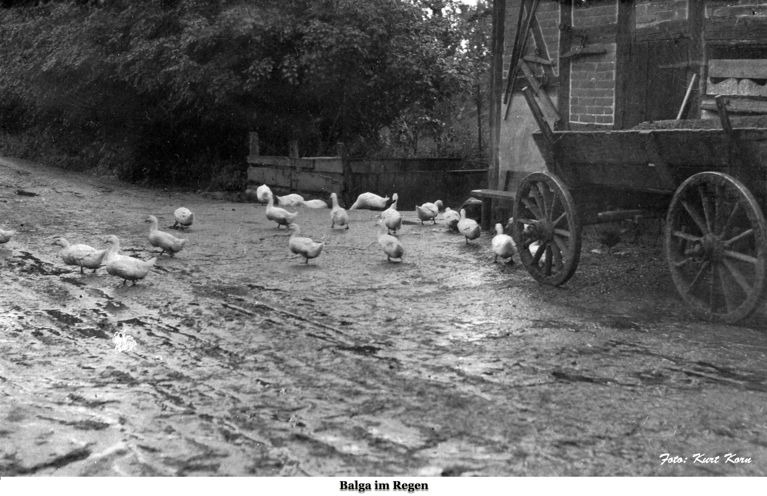 Balga - bis 1945